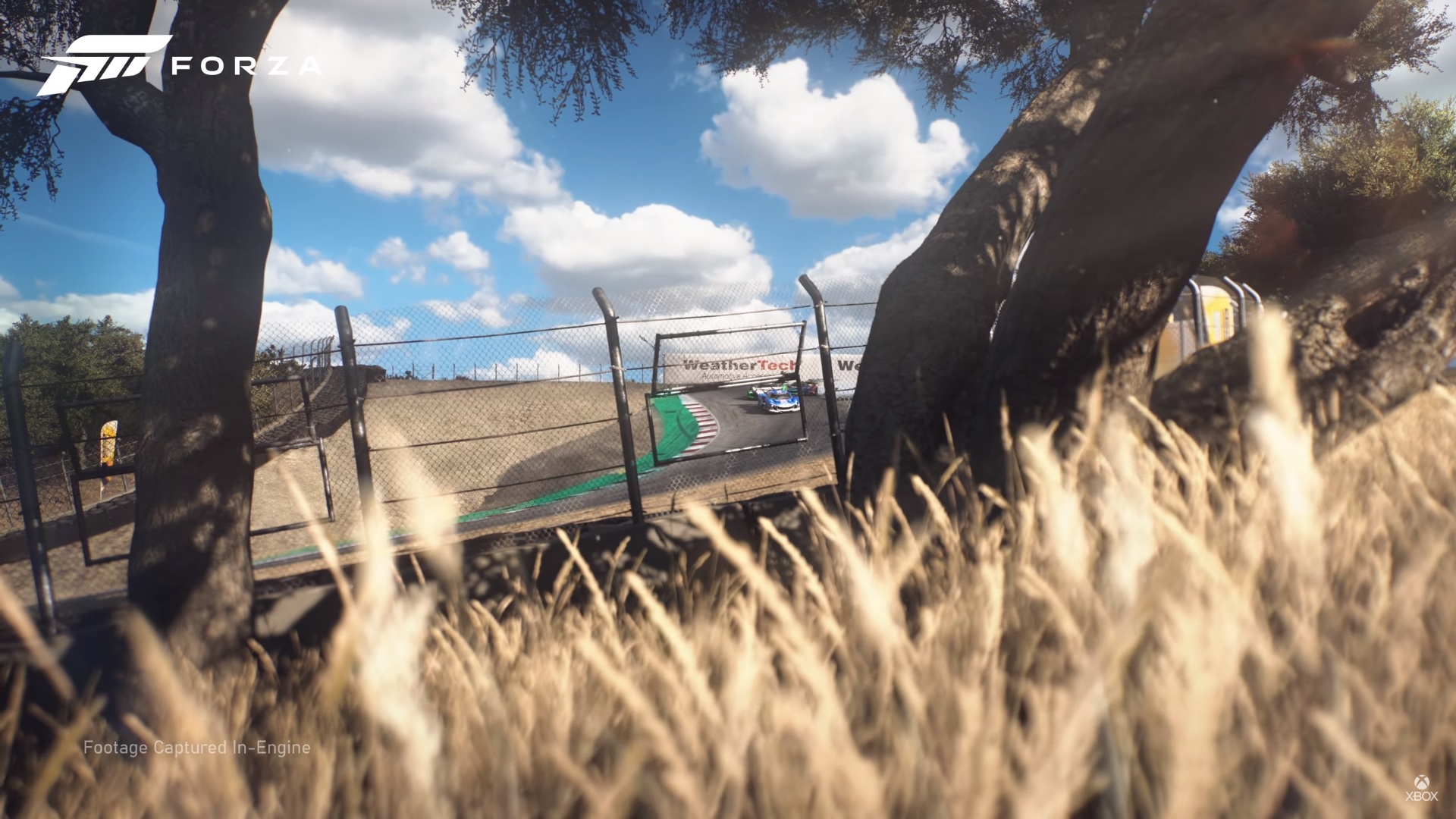 Najavljena nova igra serijala Forza Motorsport - Reboot